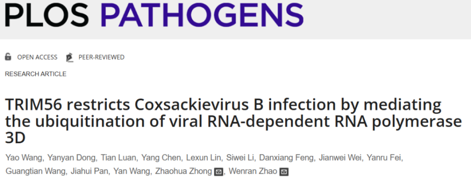 PLOS PATHOG|哈尔滨医科大学赵文然教授联合钟照华教授课题组发现TRIM56通过介导3D聚合酶泛素化抑制CVB感染_腾讯新闻