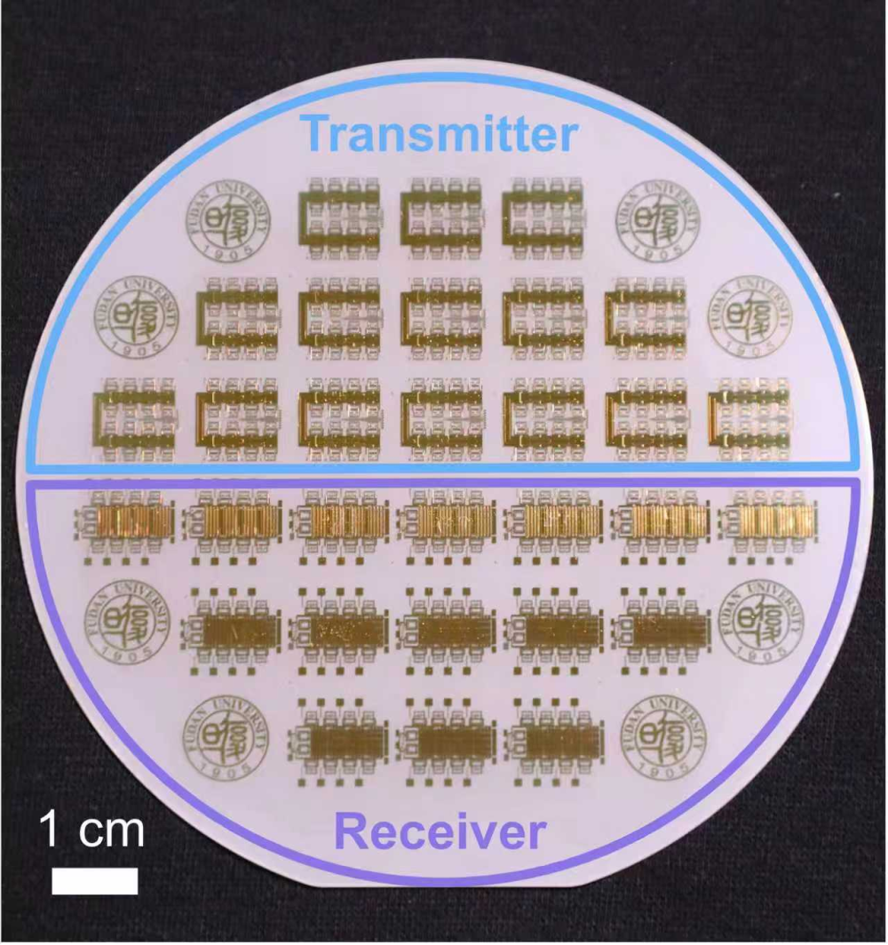 复旦“青鸟”系统飞上太空 首次实现基于二维电子器件与系统的在轨验证_腾讯新闻
