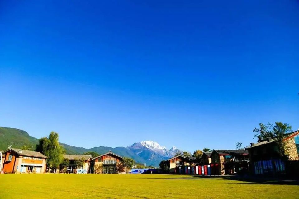 李亚鹏，到底欠了多少债？_腾讯新闻