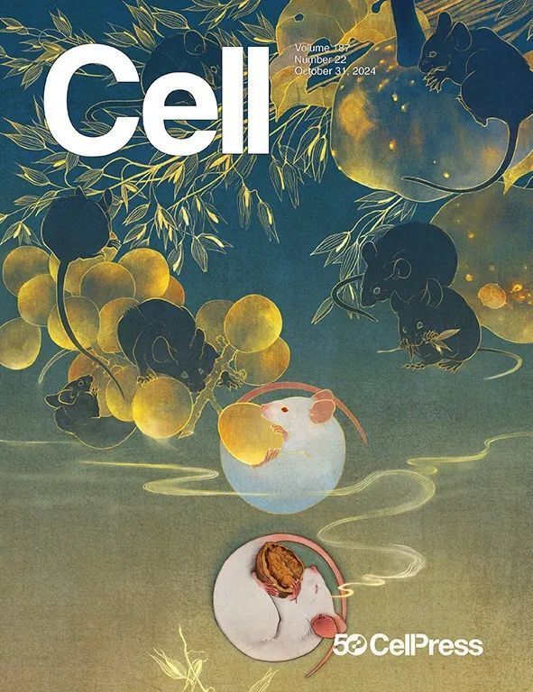 2024年10月，这些研究登上了Cell Press期刊封面！_腾讯新闻