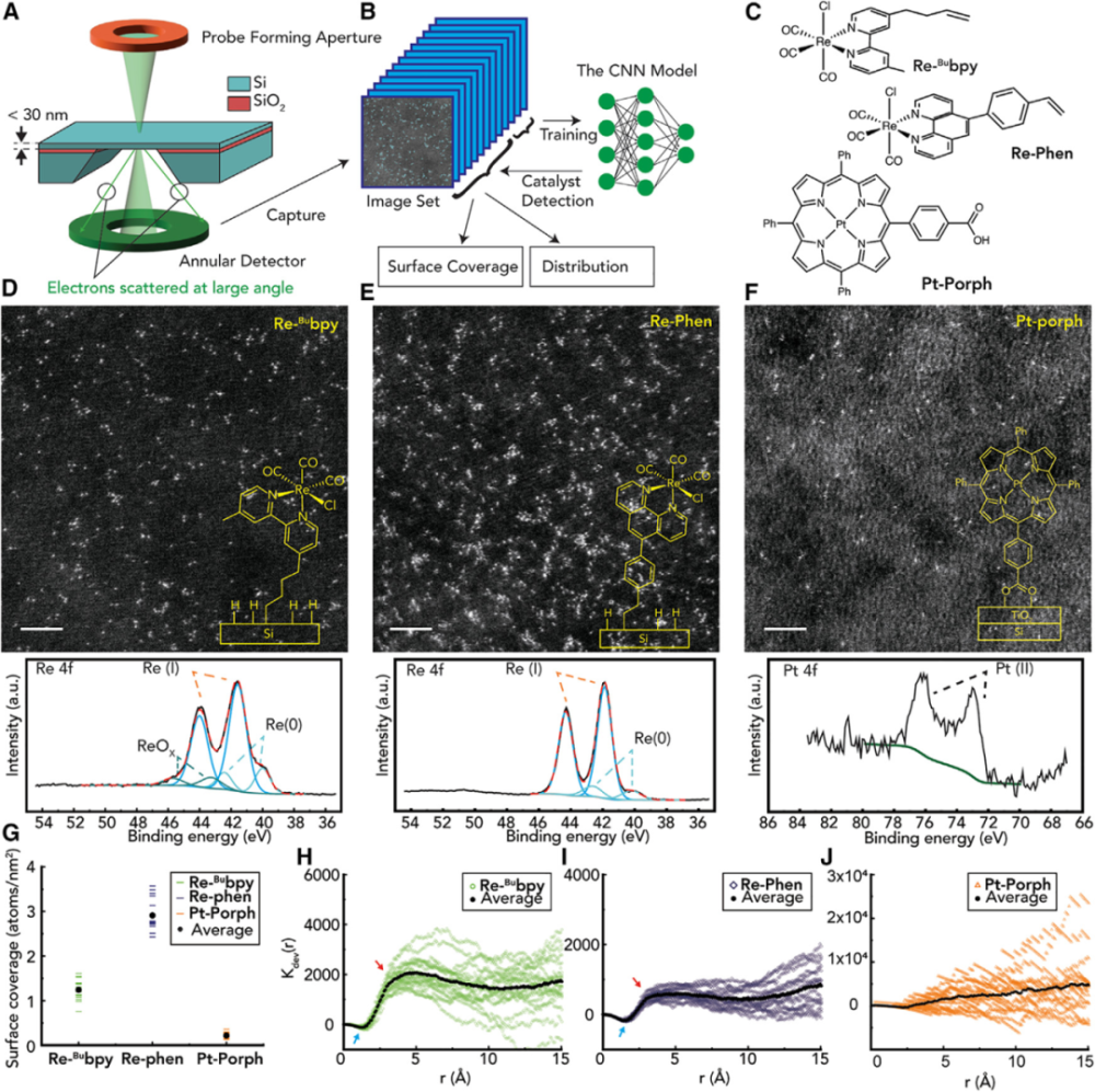北京大学高鹏评述：Eric A. Stach等利用HAADF-STEM与机器学习确定固定化分子催化剂的表面覆盖和分布率_腾讯新闻
