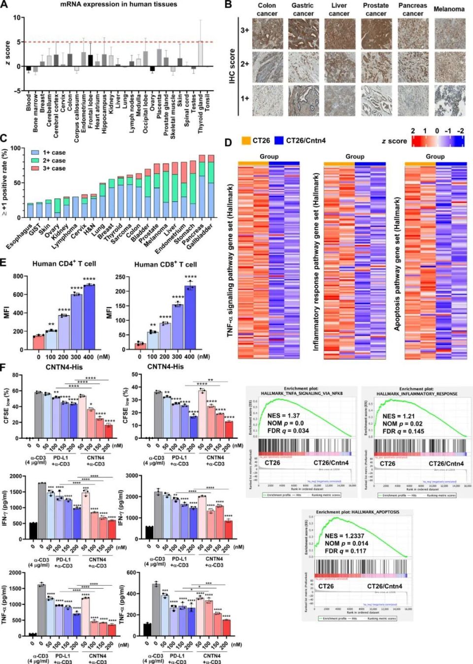 《科学·免疫学》：科学家发现，CNTN4-APP竟是抑制T细胞抗癌免疫的信号通路！_腾讯新闻