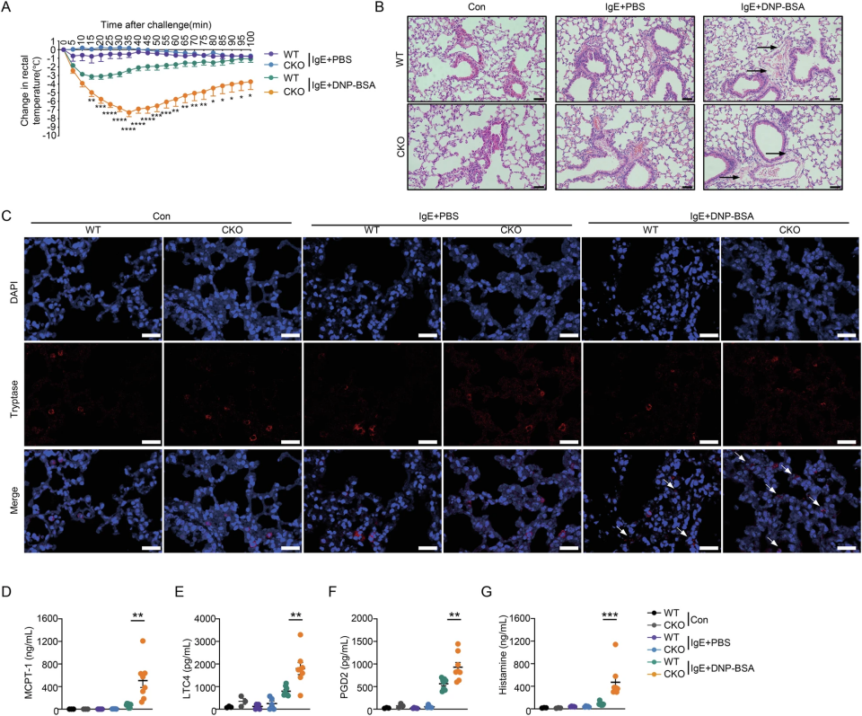 AbMole详解： DNP-BSA--免疫学研究与检测的得力助手_腾讯新闻