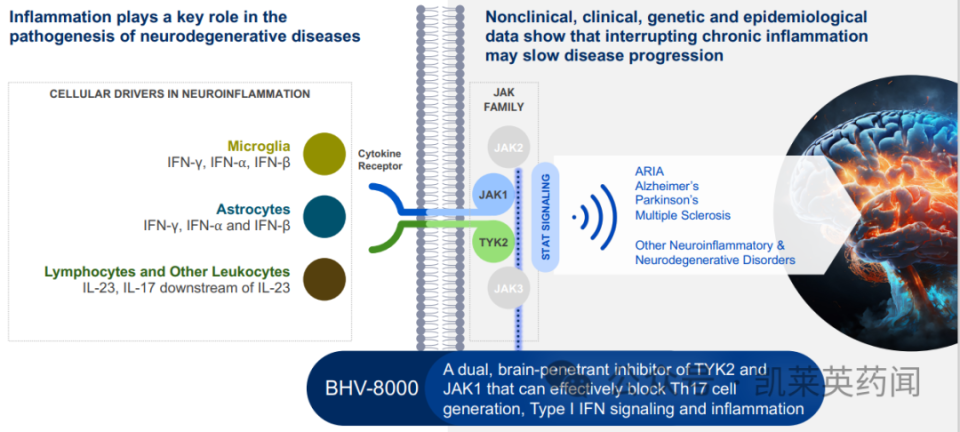 JPM 2024| 辉瑞/Biohaven：布局20个适应症，涵盖ADC、靶向蛋白降解剂等多项“重磅炸弹”！_腾讯新闻
