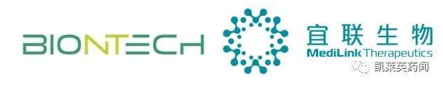超10亿美元!宜联生物与BioNTech达成战略合作,共同开发靶向HER3 ADC_腾讯新闻