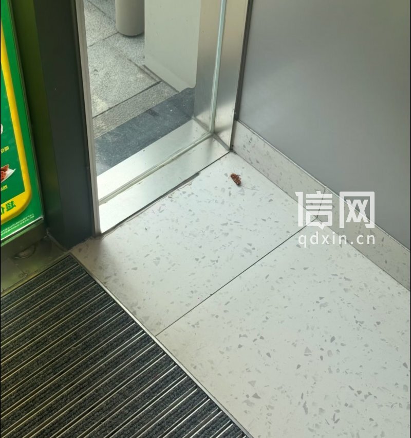 成都一赛百味门店被拍到多只蟑螂在爬 品牌方称虫害由周边门店消杀后窜入_腾讯新闻