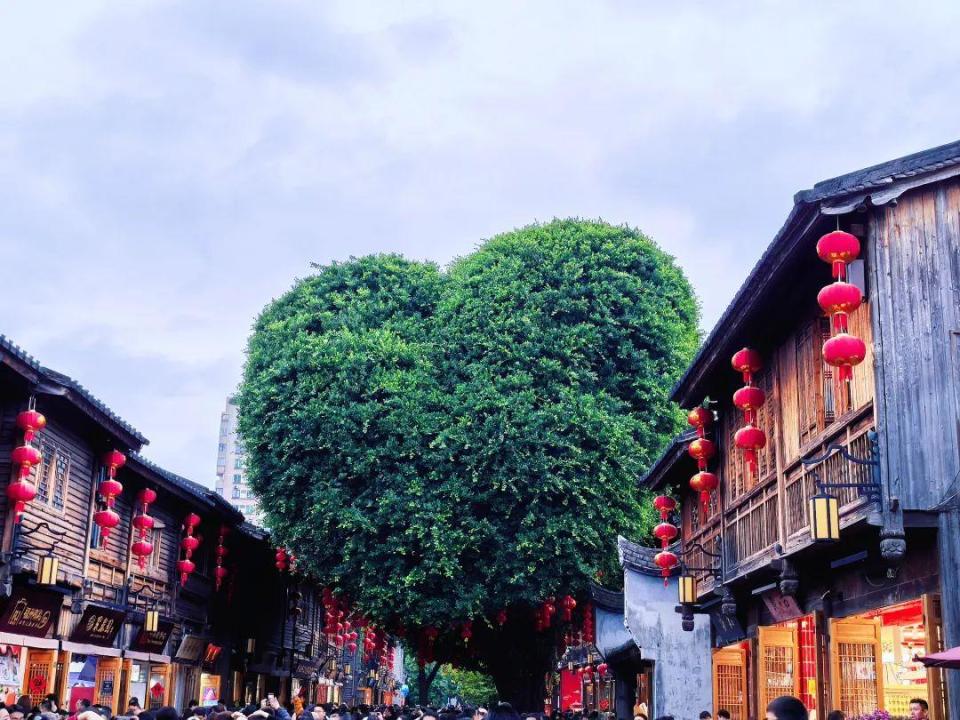 华山论剑 | 蛇年感悟：留得青山在，不怕没柴烧_腾讯新闻