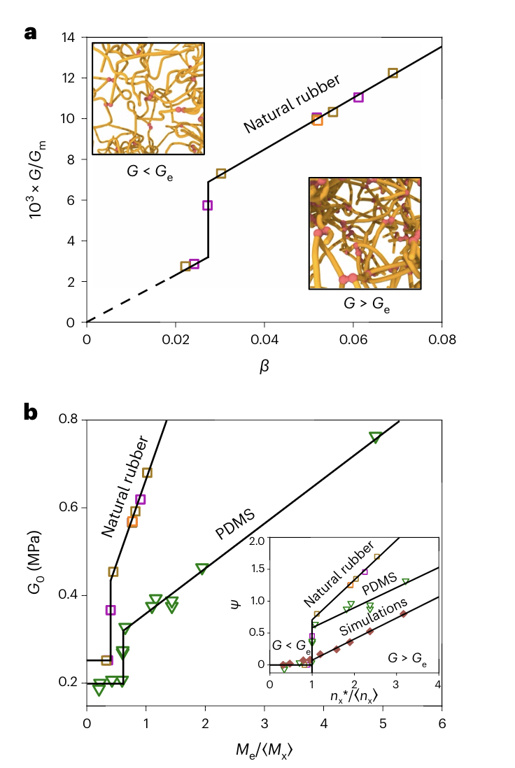 一作兼通讯！聚合物网络研究，登上Nature Materials！_腾讯新闻