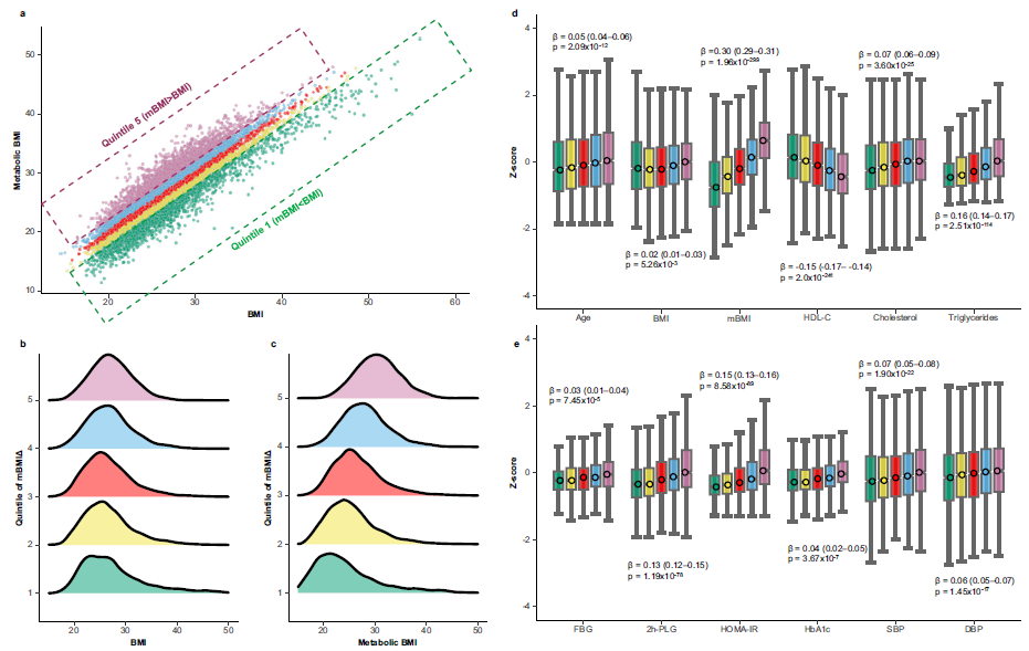 BMI 要被淘汰了？Nature子刊：升级换代——mBMI，不仅能更准确的反映体内代谢情况，还能预测心血管疾病和二型糖尿病_腾讯新闻