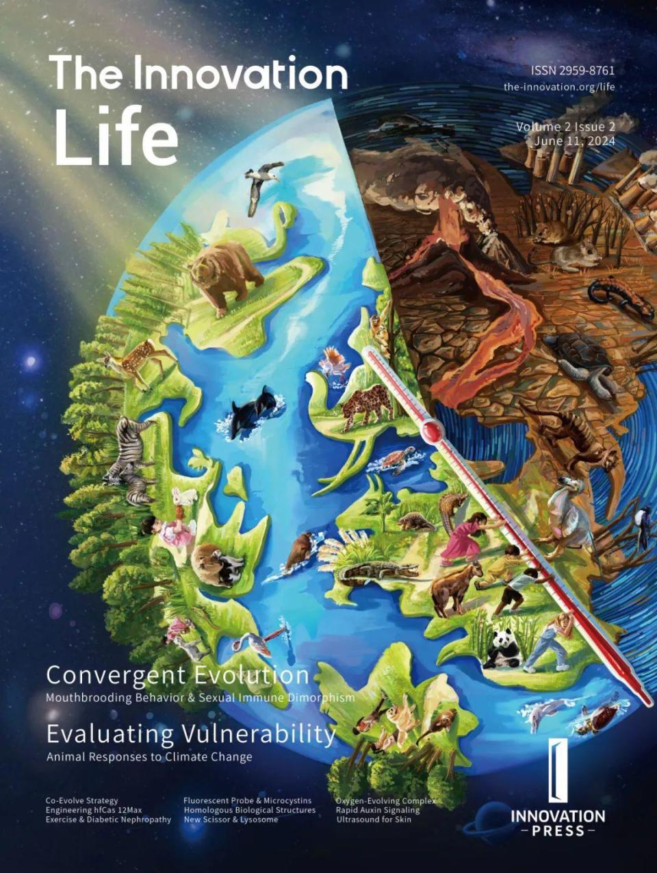 The Innovation Geoscience | 深海贻贝与甲烷氧化菌共生微宇宙的三维解析_腾讯新闻