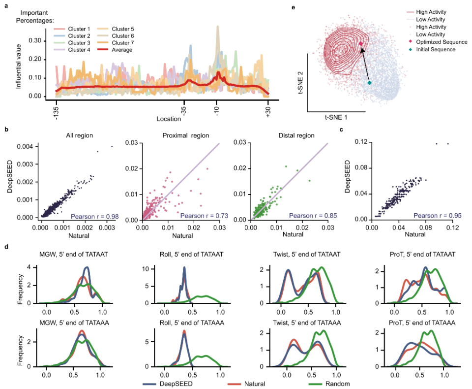 将专家知识与深度学习结合，清华团队开发DeepSEED进行高效启动子设计_腾讯新闻