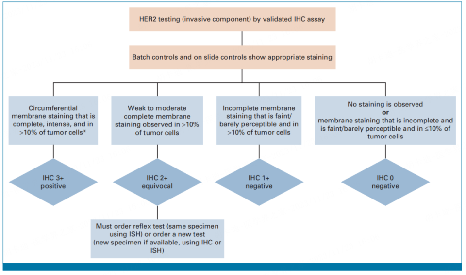 ASCO-CAP乳腺癌HER2检测指南更新_腾讯新闻