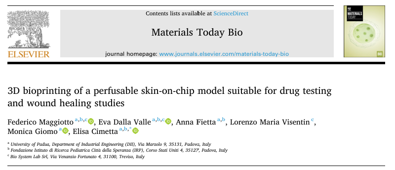 Mater Today Bio｜3D打印可灌注血管化皮肤模型亮眼登场！自带“营养通道”，模拟伤口愈合超给力，药物测试更靠谱_腾讯新闻