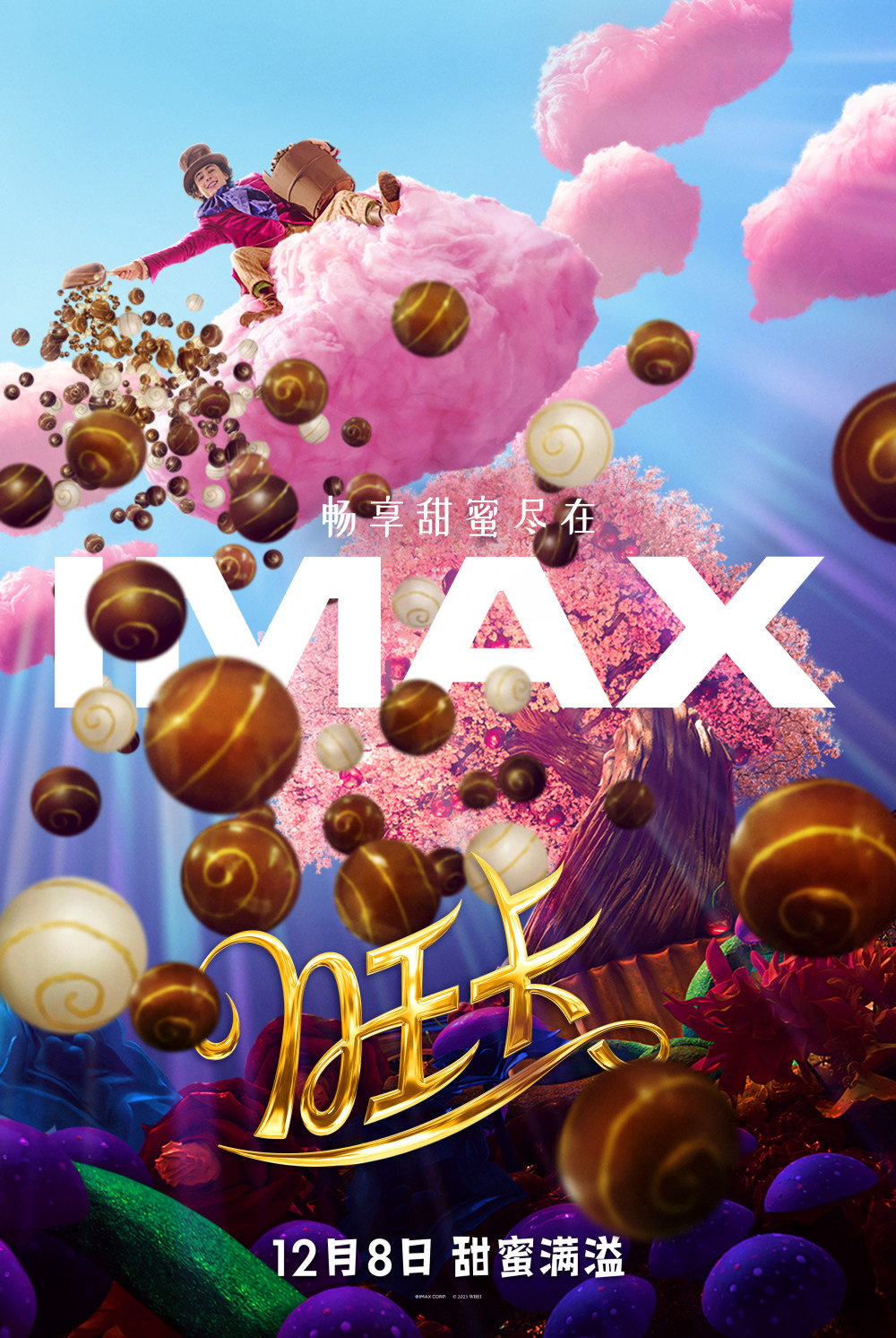 IMAX发布《旺卡》专属海报 “甜茶”化身巧克力魔法师开启IMAX奇幻冒险_腾讯新闻
