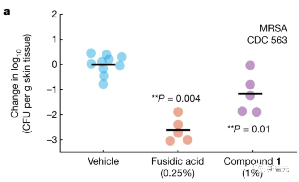 60年首次！AI发现首批新抗生素，MIT重磅研究登Nature！人类有望对抗超级细菌_腾讯新闻
