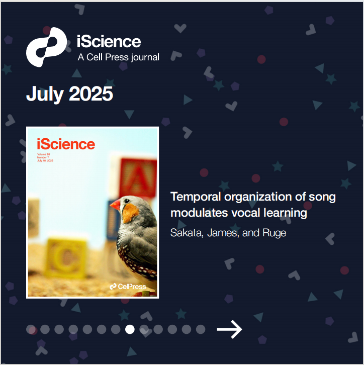 iScience 2025年12期封面突破盘点：交叉科学的精彩瞬间_腾讯新闻