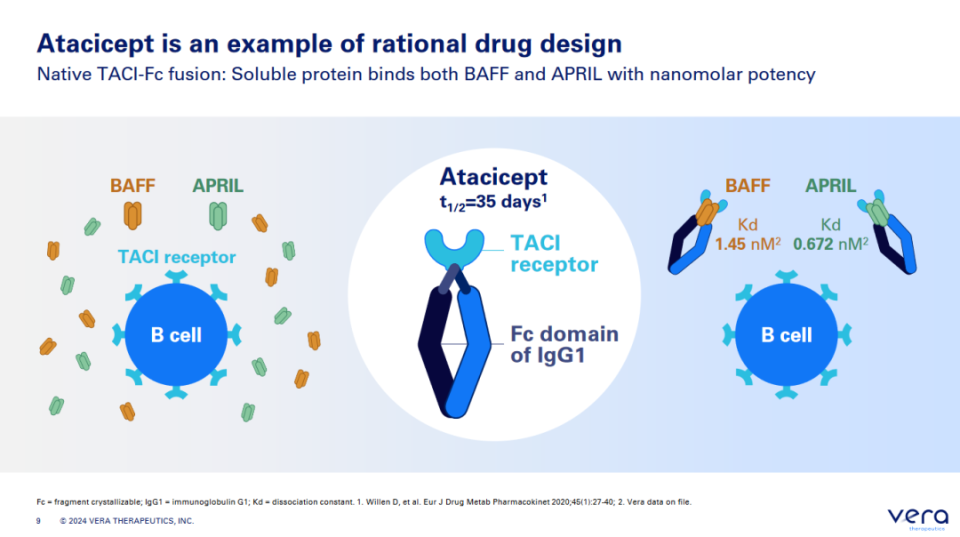 持久缓解近2年，潜在“功能性治愈”肾病！突破性疗法有望明年递交上市申请_腾讯新闻