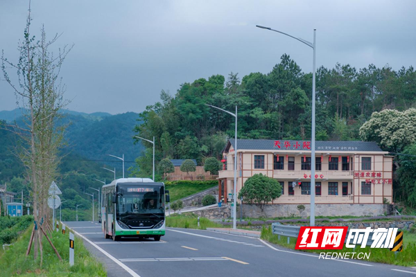 蝶变！长沙县X024公路串联北部三镇红绿资源_腾讯新闻