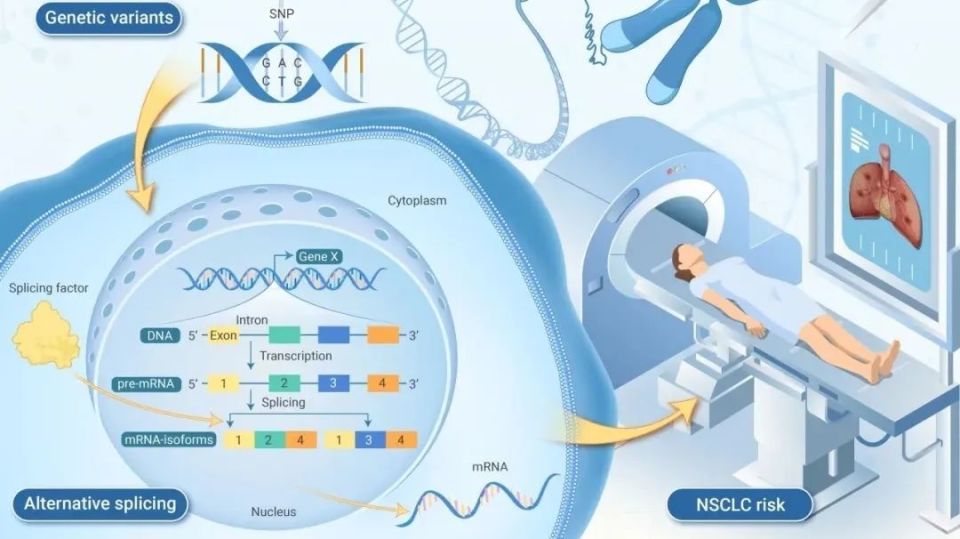 The Innovation Life | Split-HaloTag：为细胞生理活动的精准记录提供新方案_腾讯新闻