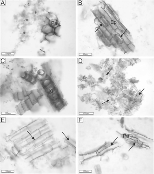 为什么出厂澄清的液体，过几天却长出了“白云”？这还能喝吗？_腾讯新闻