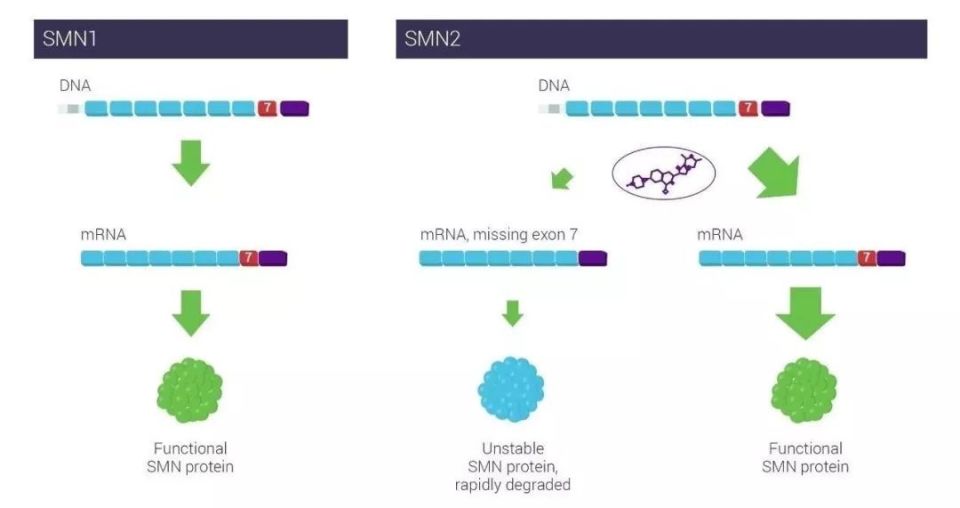 首款！100%患者达到疗效里程碑，罗氏小分子疗法亮眼数据公布_腾讯新闻