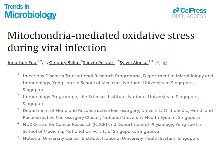 Trends Microbiol：感染期间，线粒体如何介导病毒的氧化应激？_腾讯新闻