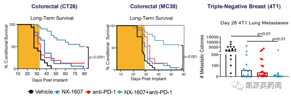 明星蛋白降解公司Nurix：2024年研发筹码有望向NX-5948倾斜，以全力跻身Protac临床2期梯队！_腾讯新闻