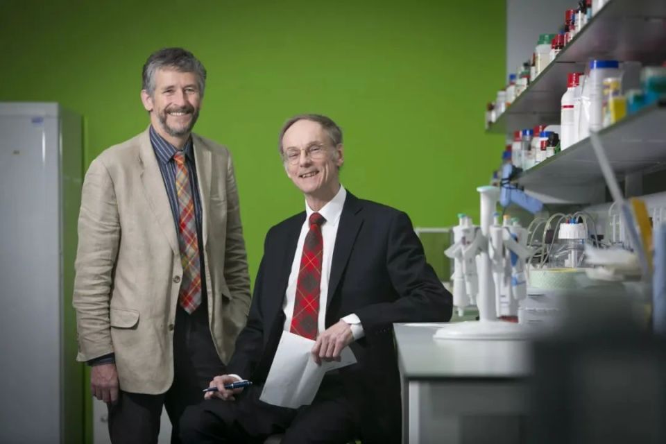 “DiRECT糖尿病缓解研究”5年结果出炉！减重≥10公斤，缓解率高达75%，然后呢？_腾讯新闻