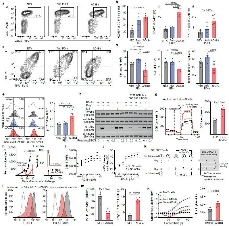 《自然》重磅突破！双重效应杀灭癌细胞，全新候选药物攻克“不可成药”靶点_腾讯新闻