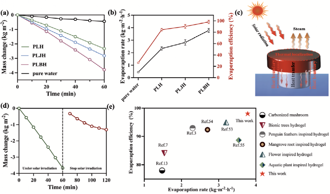 《CEJ》成都理工大学李小可：定向热调节仿生水凝胶用于高效太阳能海水淡化!_腾讯新闻