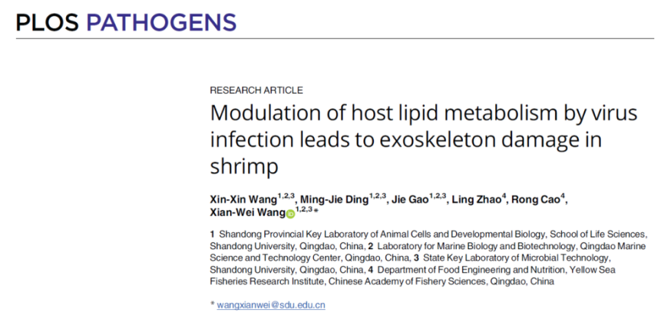 PLoS Pathog | 山东大学王显伟团队揭示白斑病毒感染导致对虾甲壳变软的机制_腾讯新闻