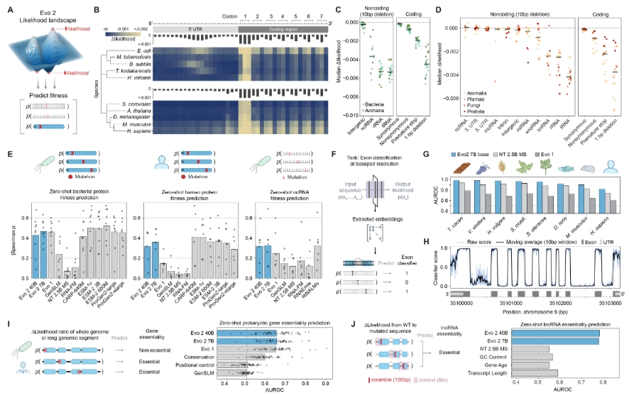 包含400亿个参数！迄今最大开源生物学AI模型Evo 2发布，可设计涵盖生命所有领域的遗传密码_腾讯新闻