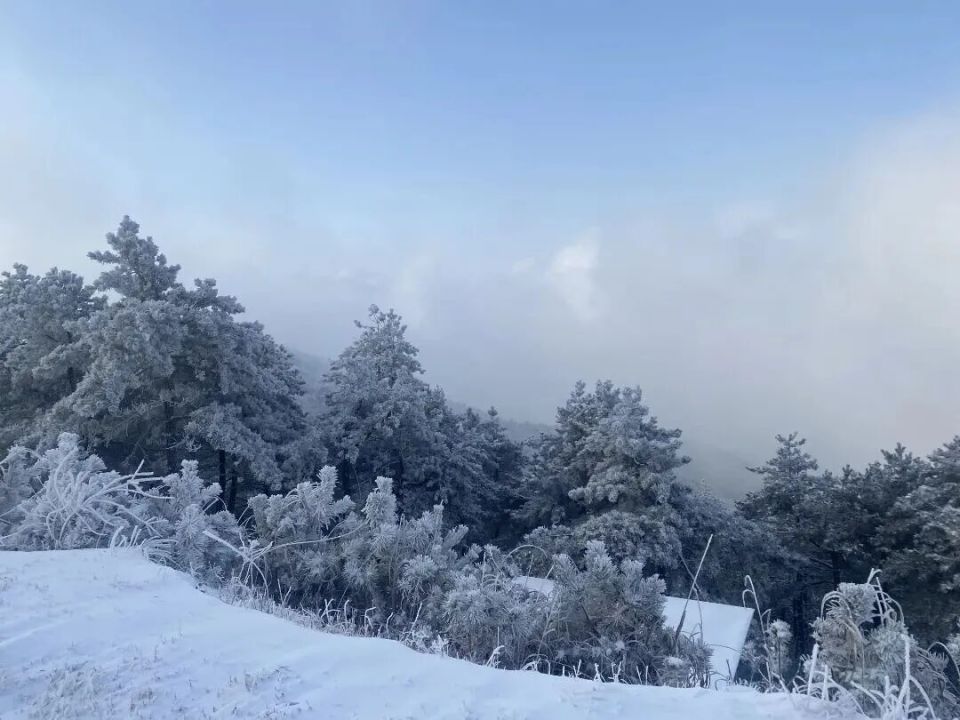 尽量减少出门！杭州发布预警：已抵达峰值_腾讯新闻