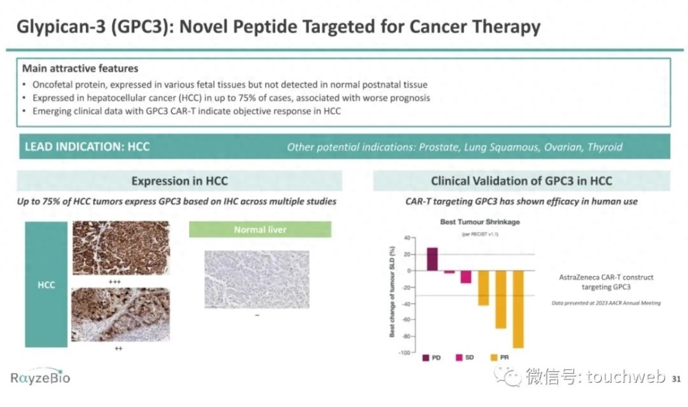 生物医药企业RayzeBio上市：市值13亿美元 路演PPT曝光_腾讯新闻