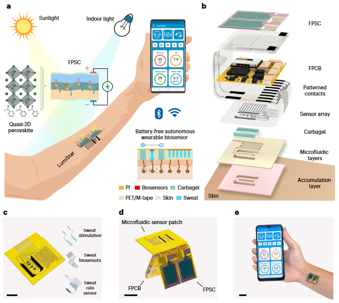 加州理工学院高伟Nature Electronics：可穿戴生物传感器！_腾讯新闻