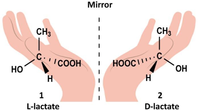 中国科技期刊卓越行动计划推介：LabMed Discovery第1卷第1期_腾讯新闻