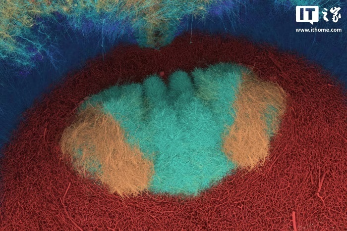 微软与瑞士初创公司 inait 合作，部署模拟大脑的人工智能模型_腾讯新闻