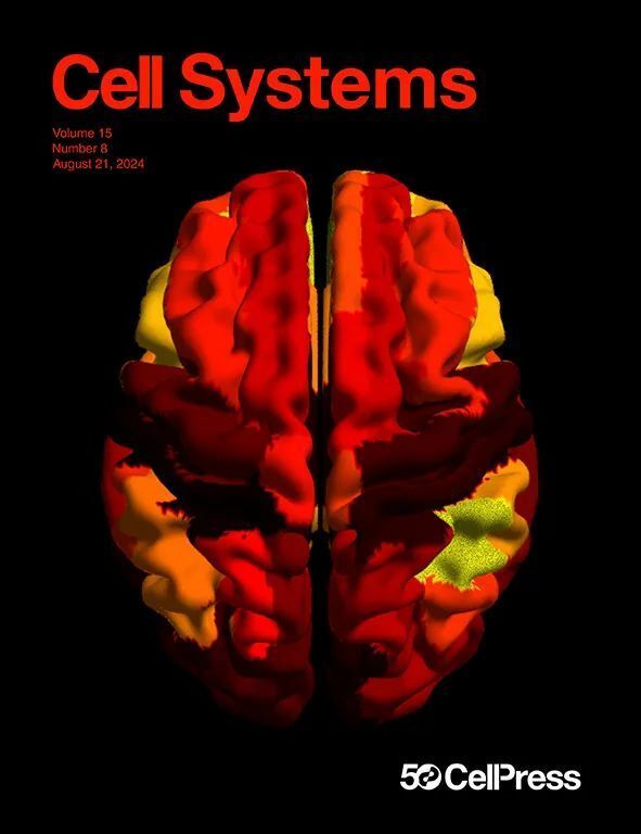 2024年8月，哪些研究登上了Cell Press期刊封面？_腾讯新闻