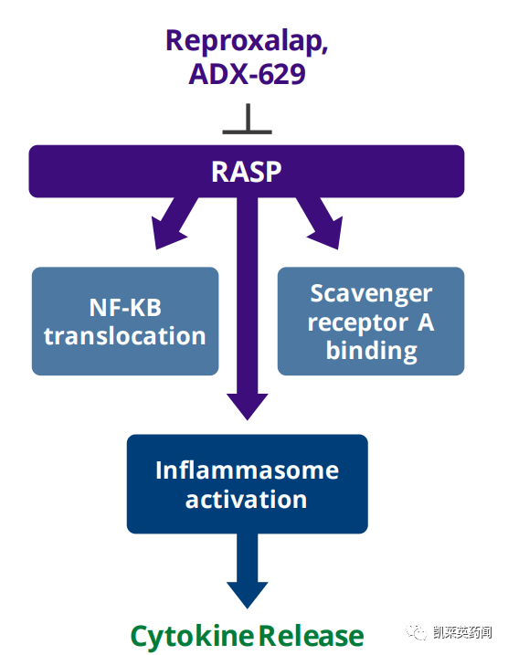 超4亿美元！艾伯维获干眼症FIC药物Reproxalap权益，该药物预计于本月底获批_腾讯新闻