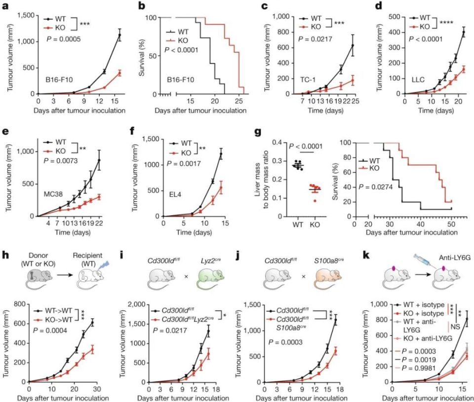 《自然》重磅：复旦大学/中科院团队找到中性粒细胞抑制免疫的重要受体CD300ld，靶向调节可逆转免疫抑制，或可成为广谱抗癌靶点_腾讯新闻