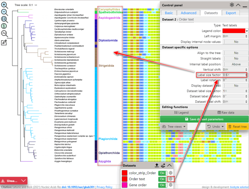 iMeta | 高被引分子系统发育树分析教程PhyloSuite_腾讯新闻
