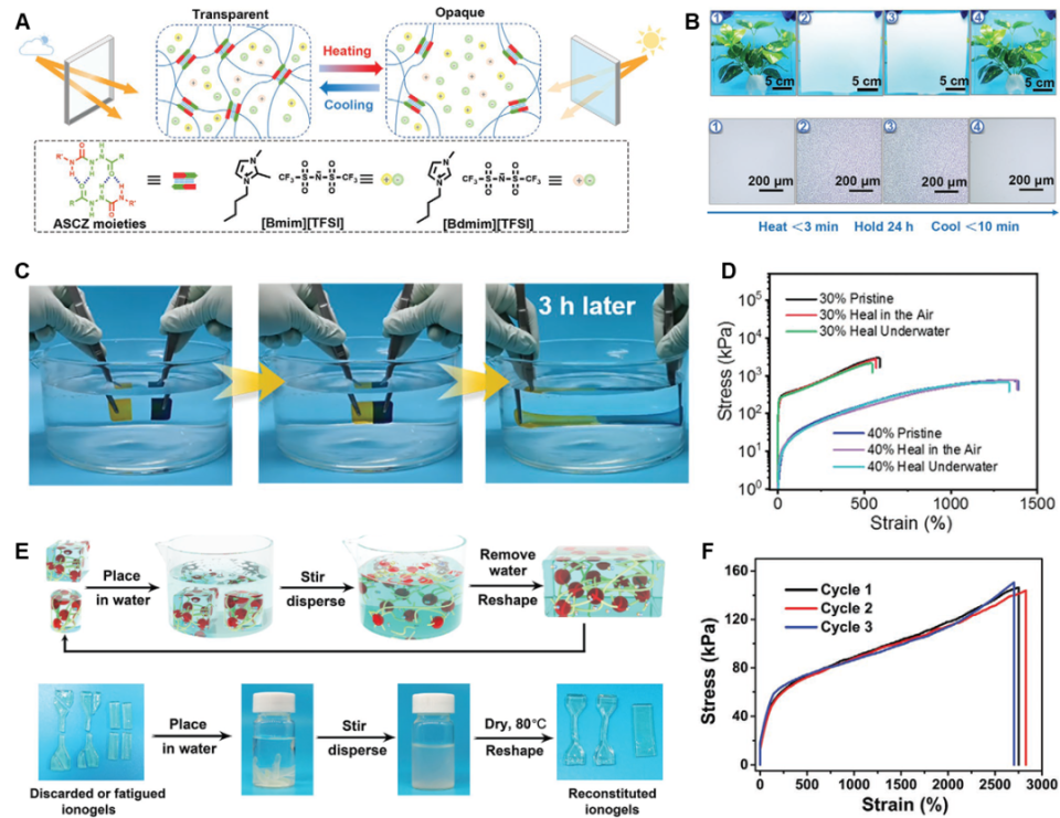 苏州大学严锋教授团队AFM：离子凝胶最新综述_腾讯新闻