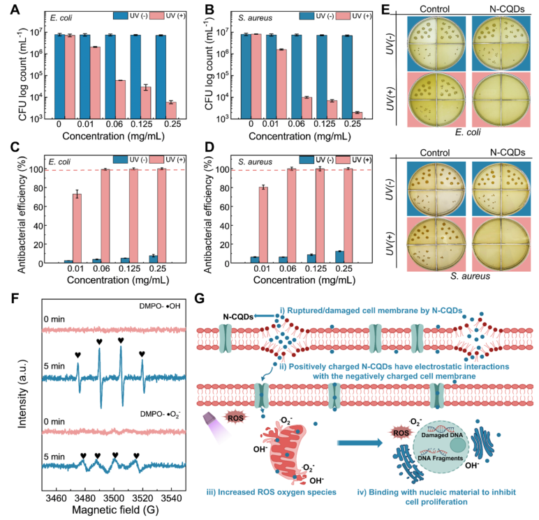 南工大ACS Nano：光活性Janus纳米纤维膜，实现高效空气净化与病原体灭活_腾讯新闻
