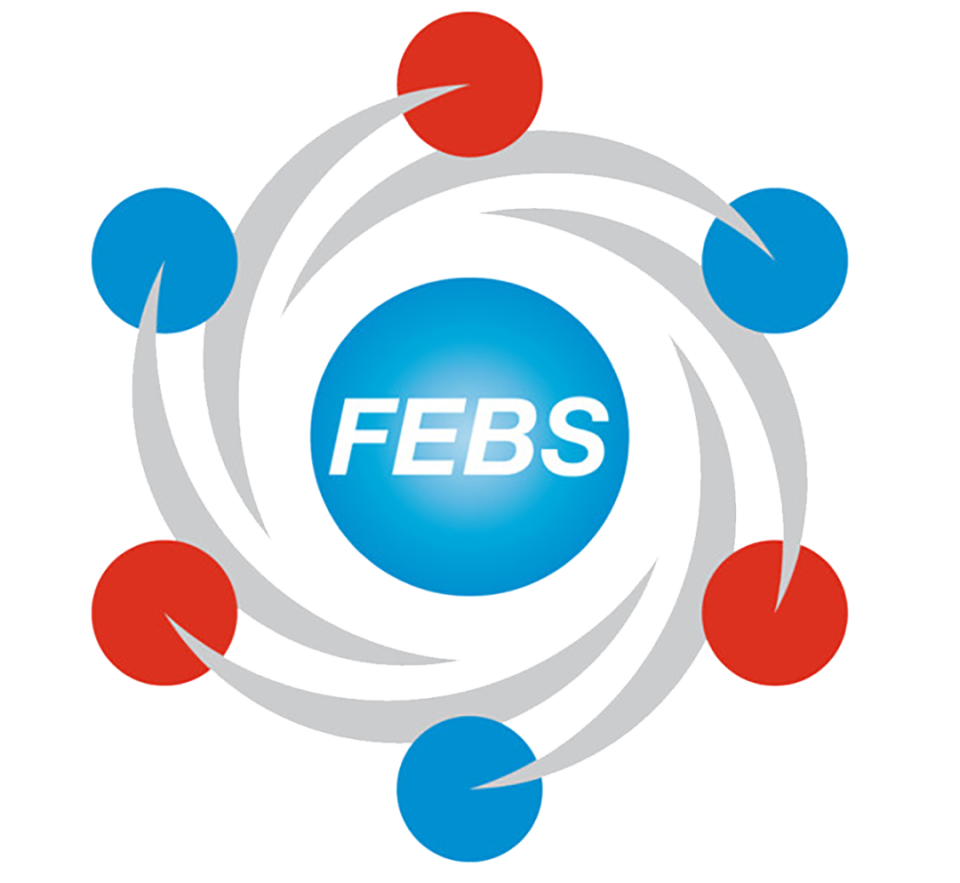 CTC、CTEC 2.0的临床应用及 i•FISH精准靶向单细胞蛋白质组学等多模态研究_腾讯新闻