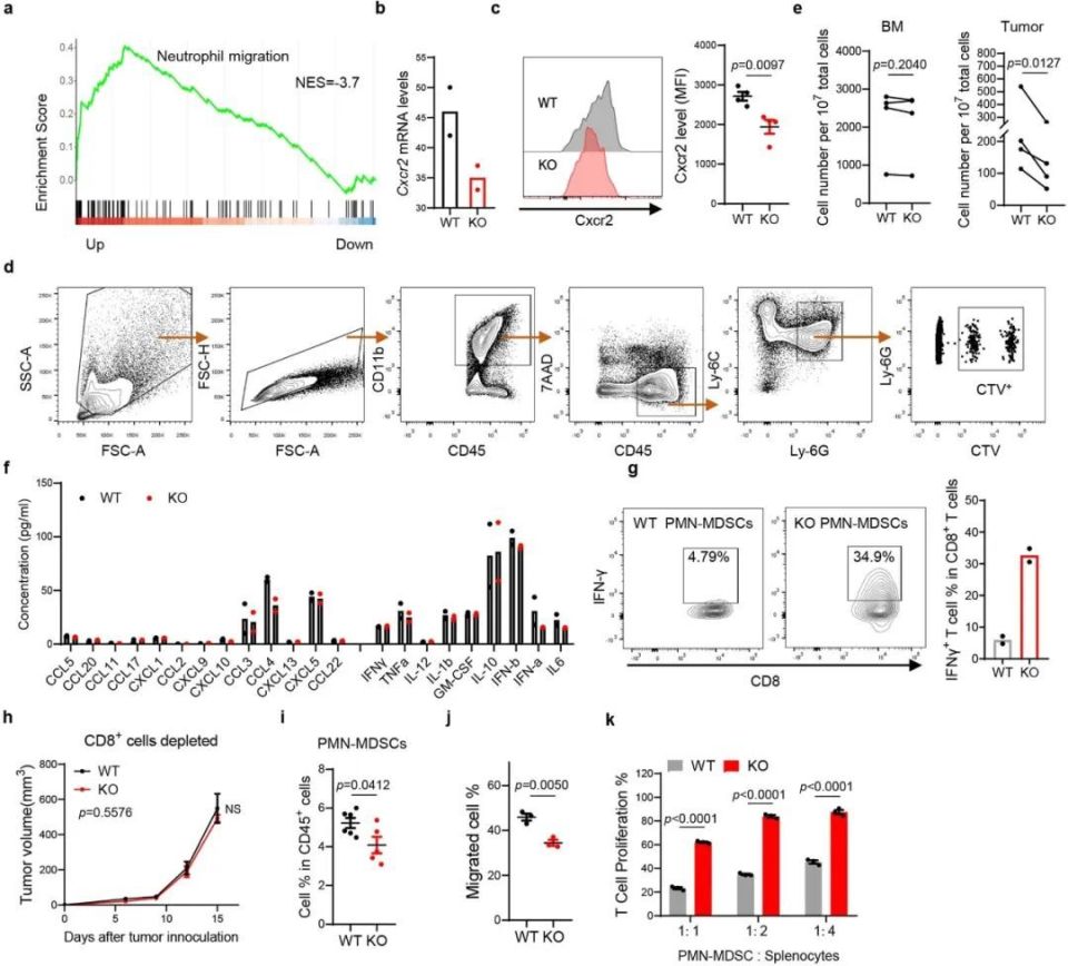 《自然》重磅：复旦大学/中科院团队找到中性粒细胞抑制免疫的重要受体CD300ld，靶向调节可逆转免疫抑制，或可成为广谱抗癌靶点_腾讯新闻