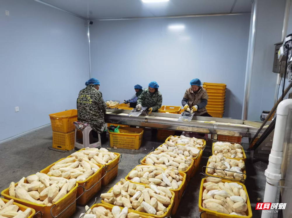 苏仙区五盖山：小薯干撬动大蝶变_腾讯新闻