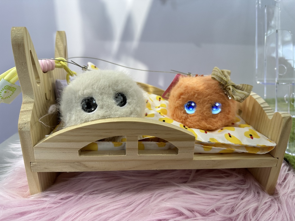 外滩大会机器人与你“交流感情”，Fuzozo创始人：AI+情绪陪伴赛道将爆发_腾讯新闻