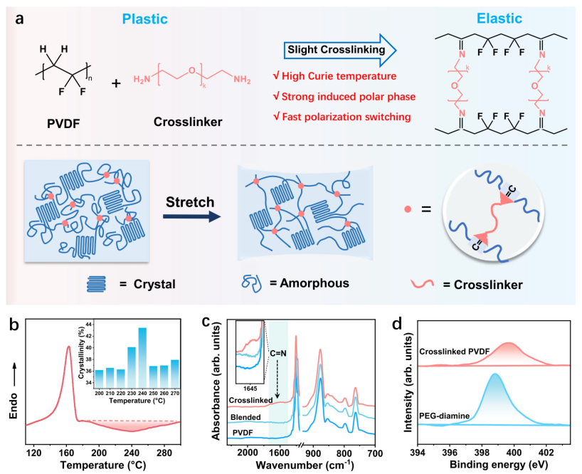 北京化工大学孙晓丽教授《自然·通讯》：铁电弹性体高温稳定性能获突破_腾讯新闻