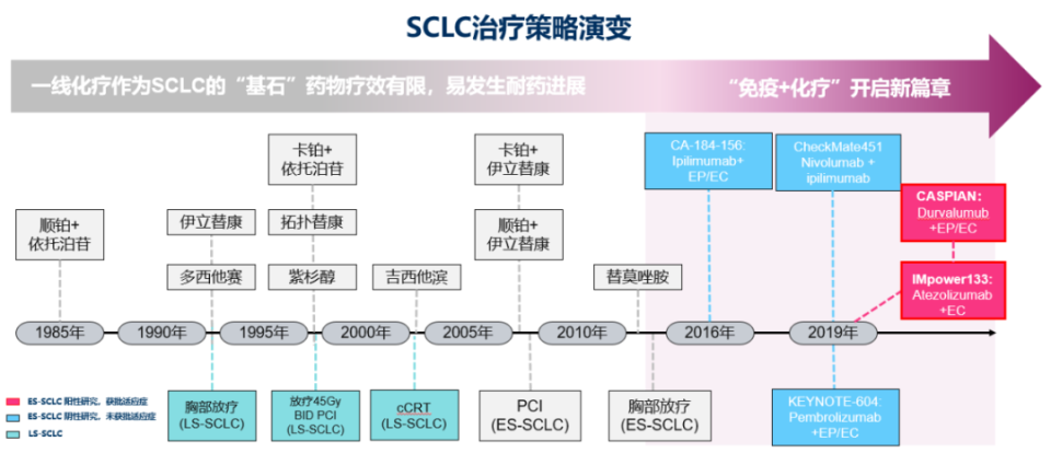 李敏教授：免疫时代SCLC治疗进展和探索丨2024中华肺癌学术大会_腾讯新闻