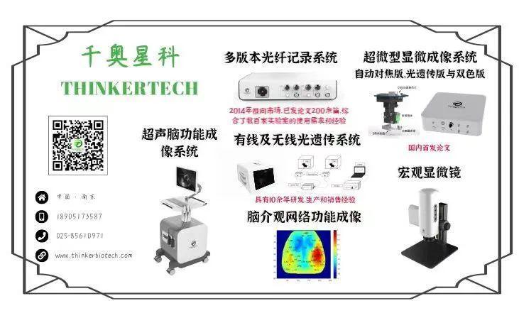 Science:第二个大脑“快乐中心”？科学家发现脑干SVTg脑区奖赏效应强劲_腾讯新闻